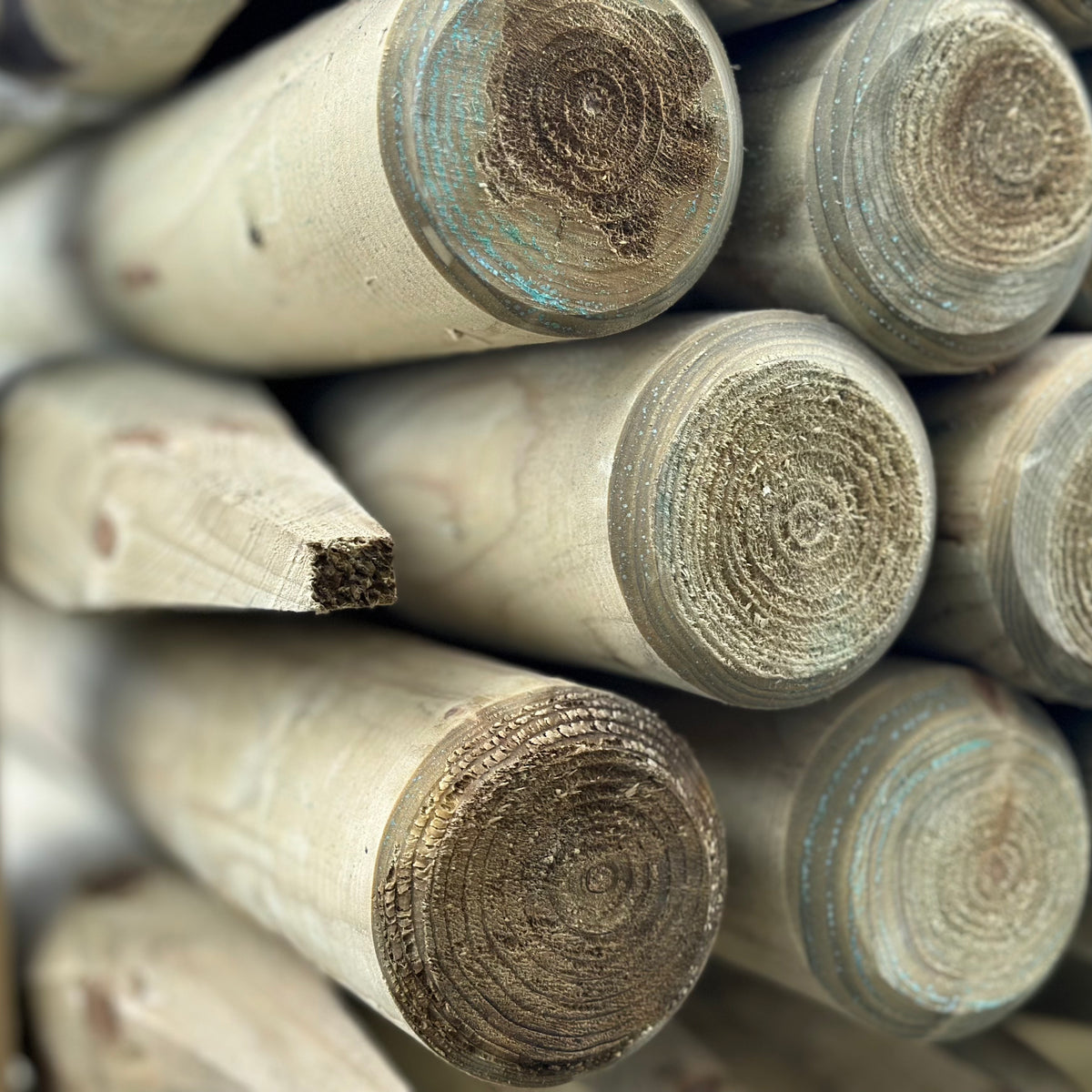 Lynx Outdoor Products - 85mm Round Fence post 1.8m – Pointed